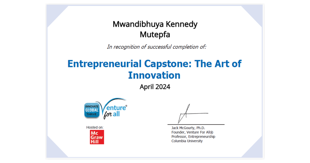 Mwandibhuya Kennedy Mutepfa | Entrepreneurial Capstone: The Art of ...